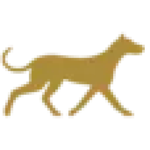 Strut Animal - Animal Mobility Specialists